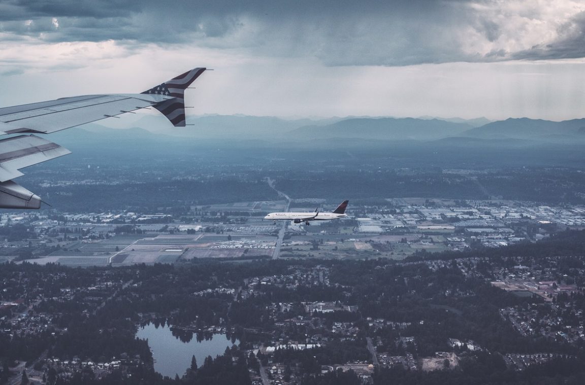 Cani e gatti in aereo: regole per viaggiare con animali